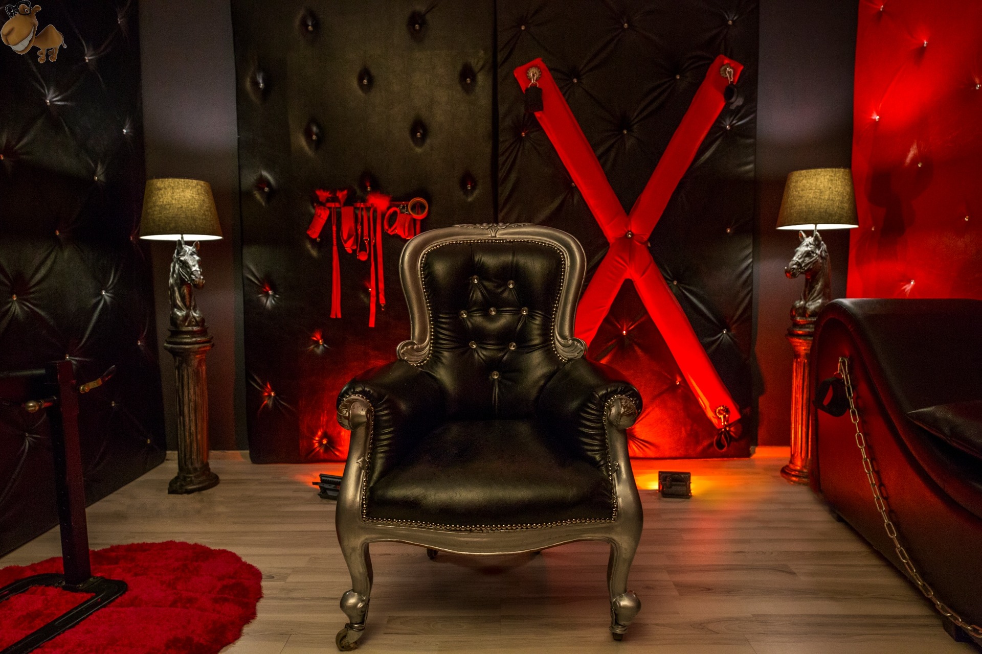 Model de videochat, studio premium la Piata Unirii - Alte locuri de ...