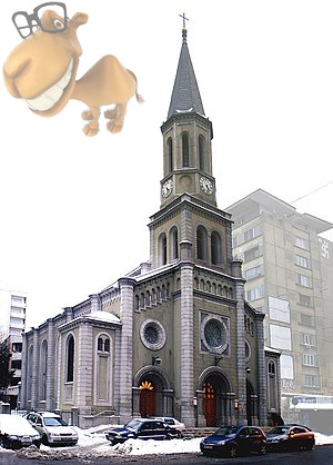 Cocosat.ro - Cel Mai Bun Site de Anunturi din Romania