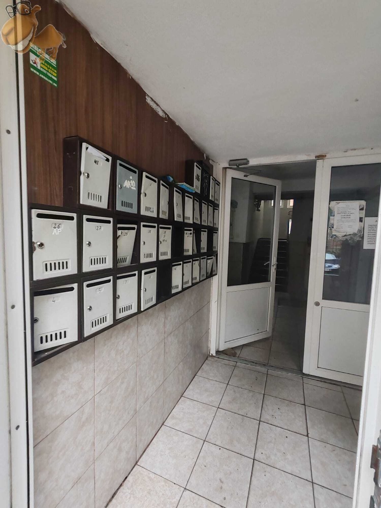 Cocosat.ro - Cel Mai Bun Site de Anunturi din Romania