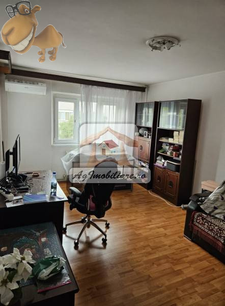 Cocosat.ro - Cel Mai Bun Site de Anunturi din Romania